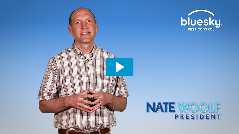 Why Should You Choose Blue Sky Pest Control?